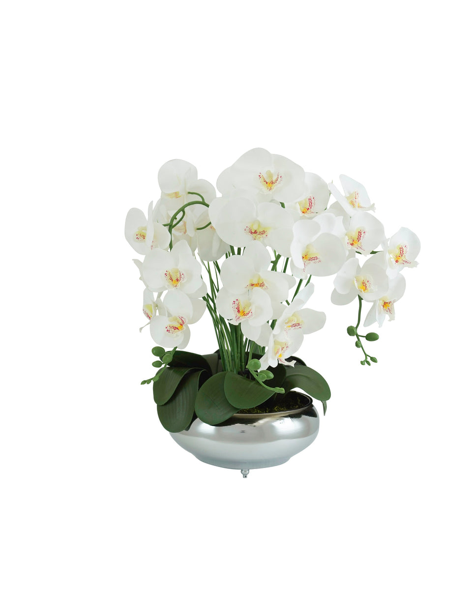 Silver Flat Vase Orchid Display – My Home Rocks